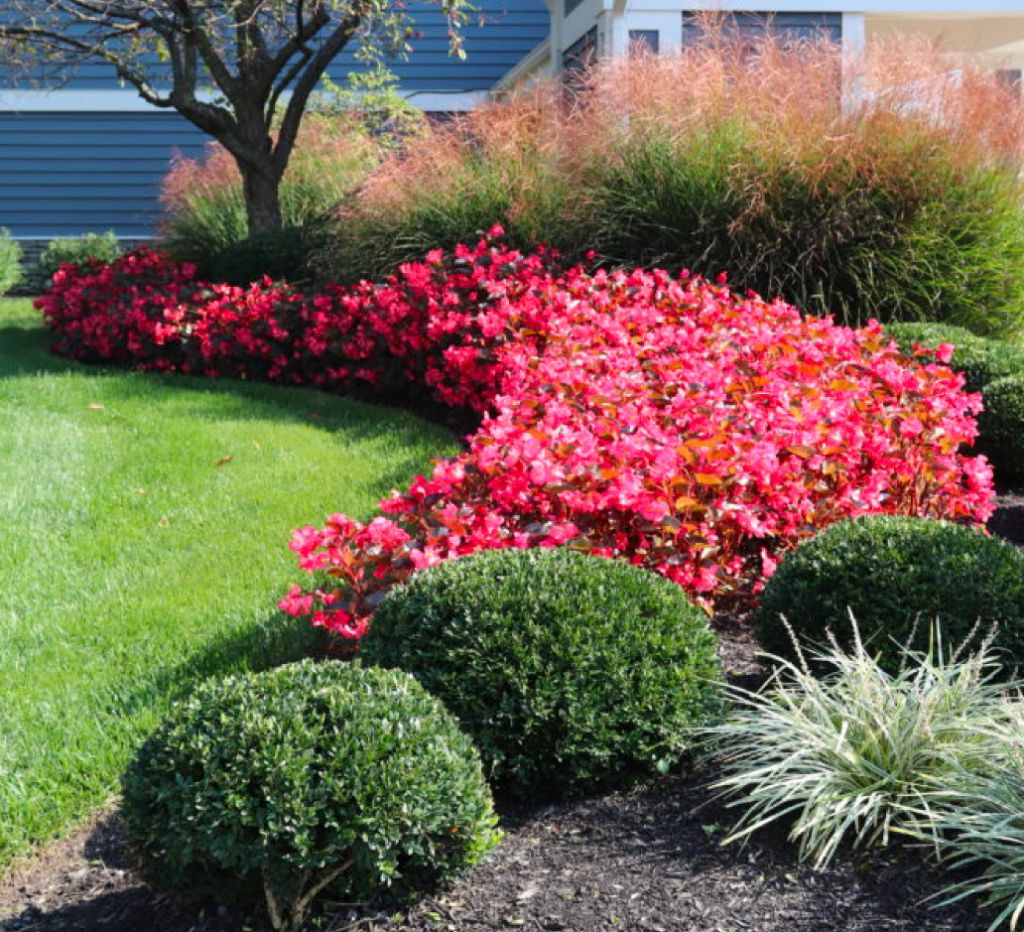 Indianapolis, Cincinnati, Dayton Commercial Landscaping